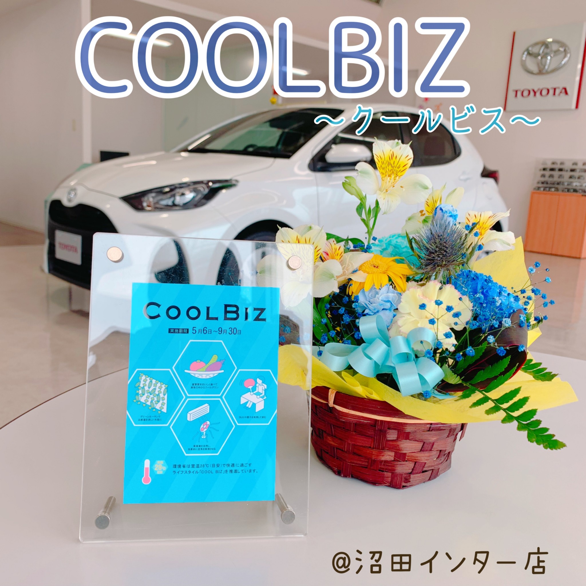 【COOLBIZ】沼田インター店クールビズのおしらせ＠群馬トヨタ沼田インター店 - 沼田インター店